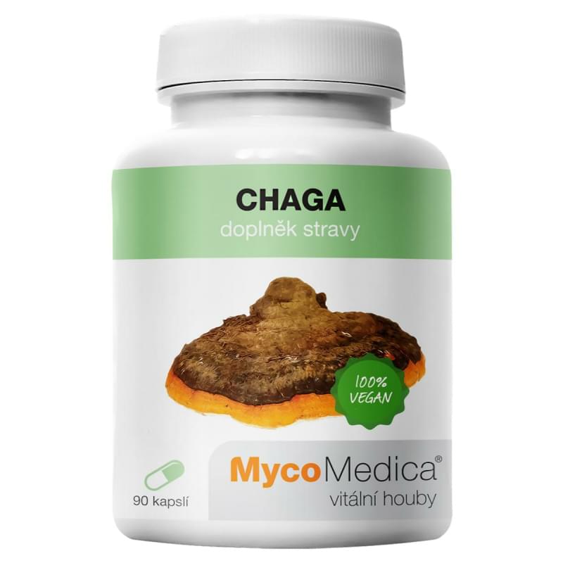 Chaga | Po staletí uctívána houba v tradicích severských národů